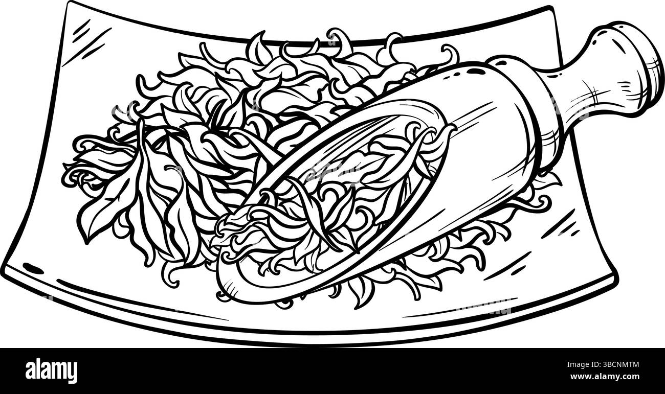 Dry Tea Vector Isolated Outline Illustration Stock Vector Image & Art ...