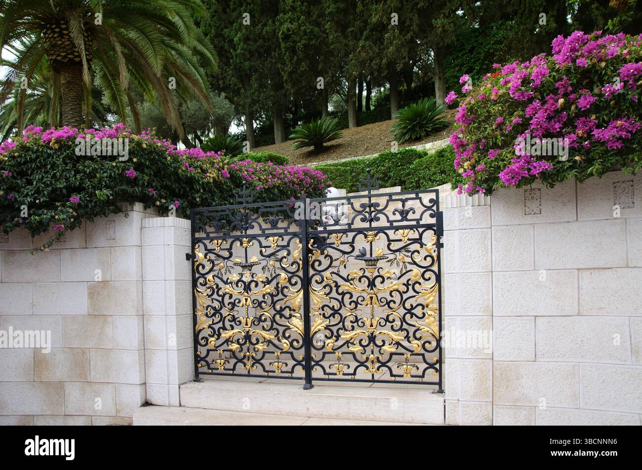 Decorative black and gold wrought iron gate framed by purple ...