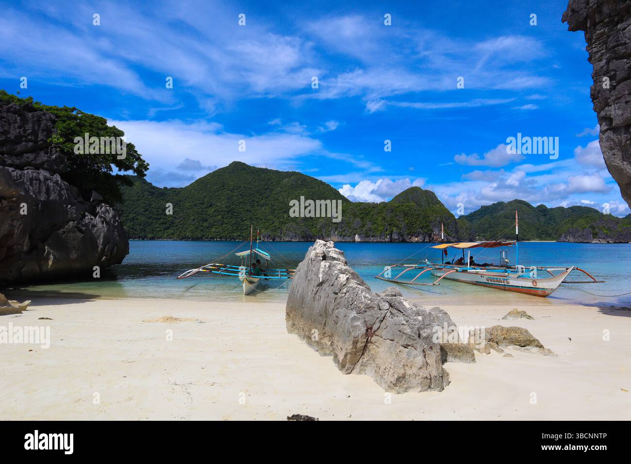 Fishing/Tourist boats docked along the shore of Cagbalinad Island ...