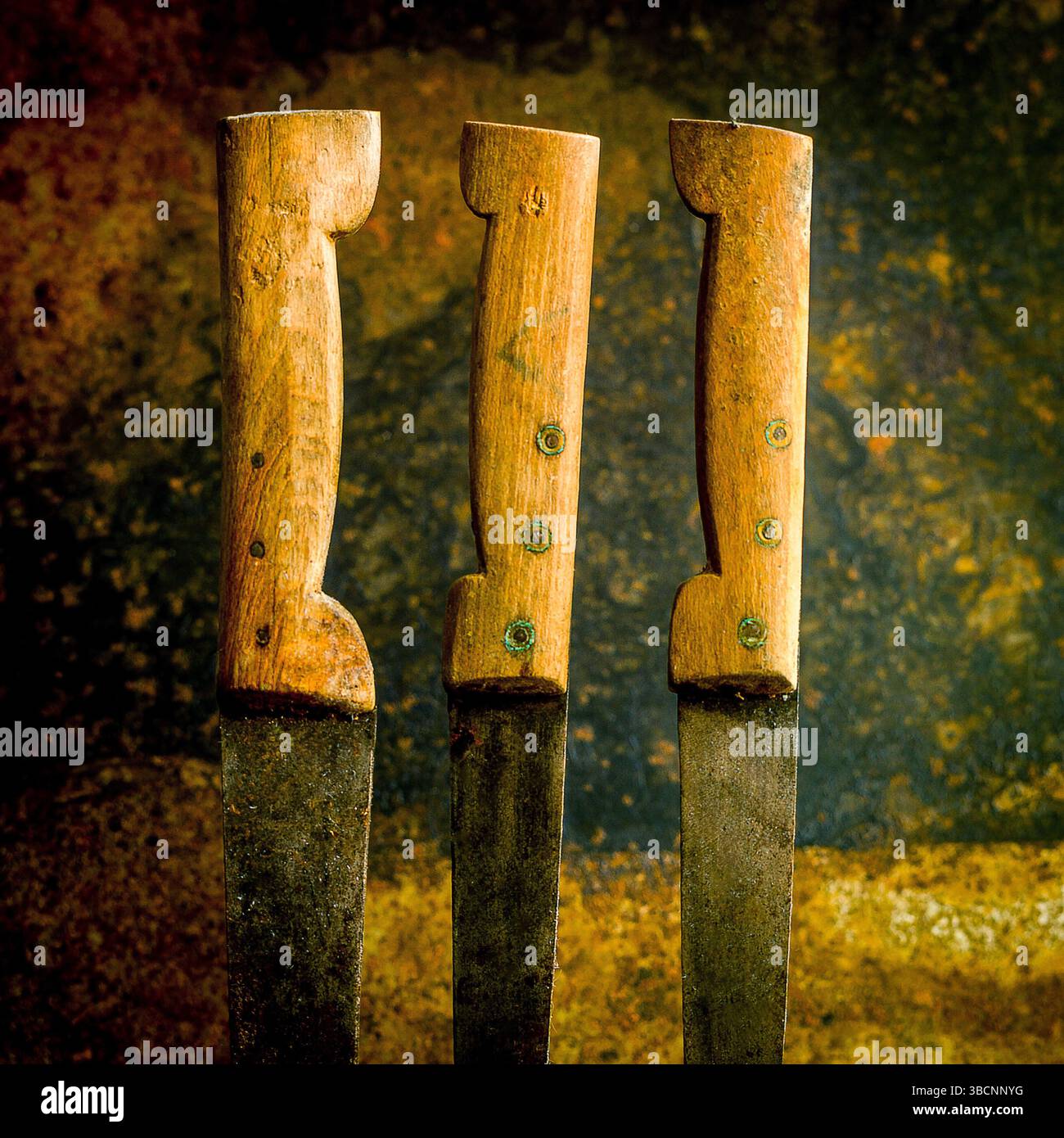 Three old, rusty kitchen knives with unevenly worn wooden handles rest ...
