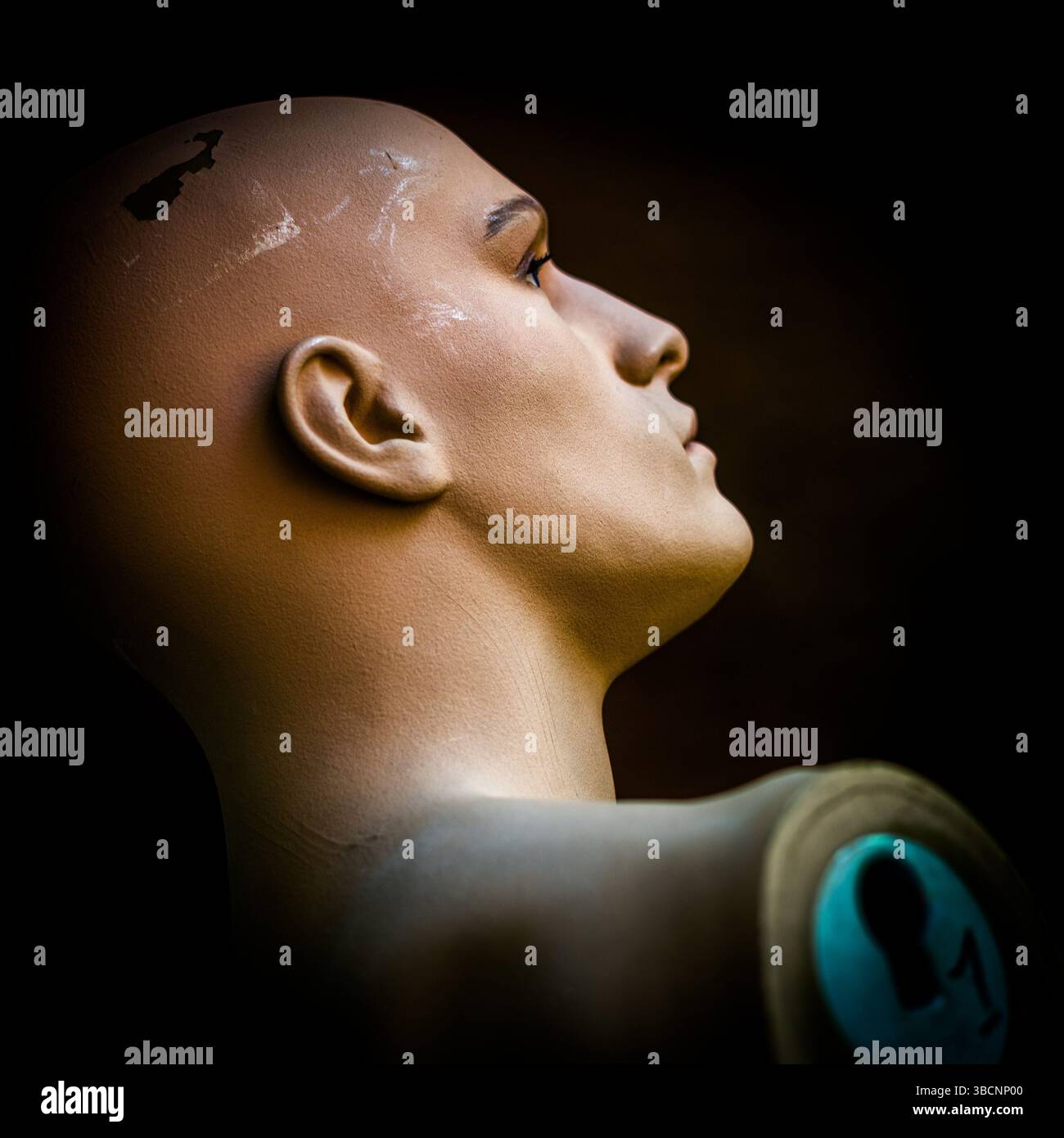 A mannequin head is positioned at an artistic angle against a dark ...