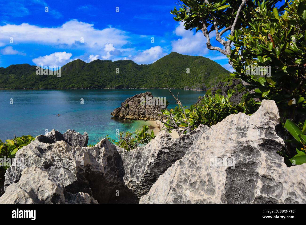 A view from the top of Matukad Island, Caramoan Peninsula, Camarines ...