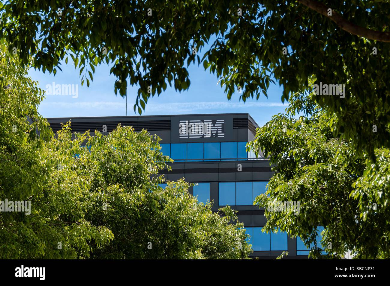 Ai in blockchain technology hi-res stock photography and images - Alamy