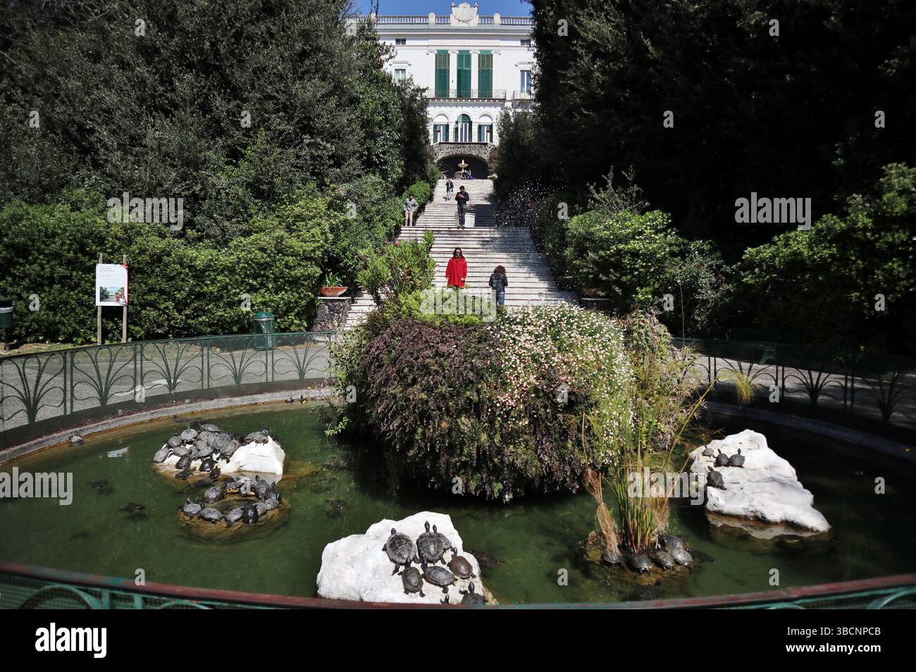 Napoli - Villa Floridiana dal laghetto delle tartarughe Stock Photo - Alamy