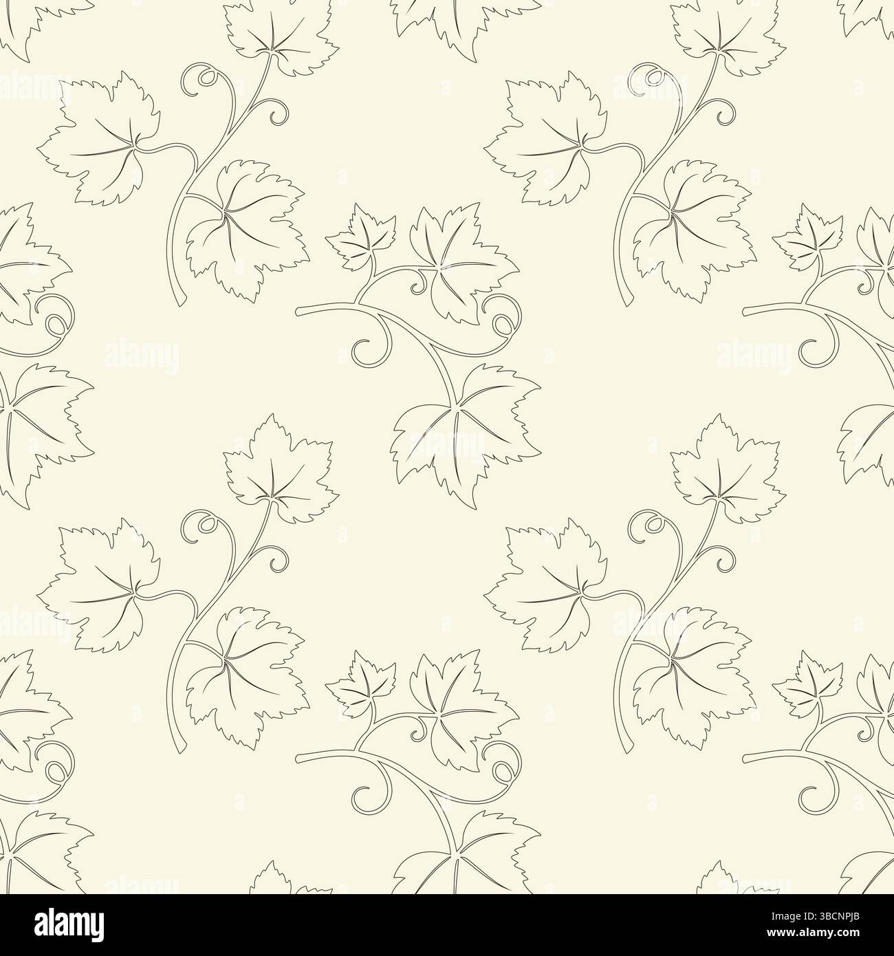 Openwork grapevine with leaves, contour drawing of thin lines of vine ...