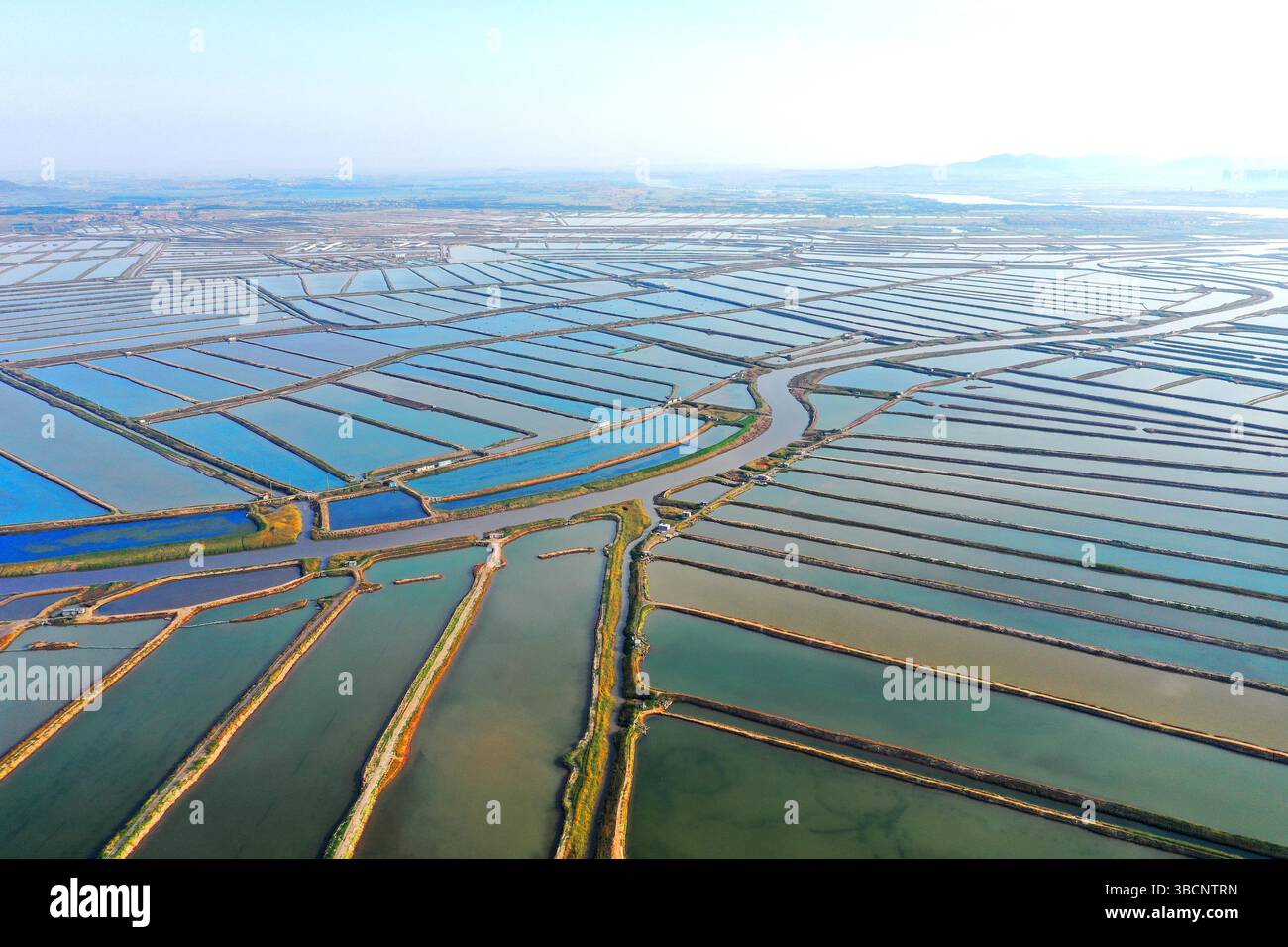 Aerial photo shows the marine aquaculture area in Qingdao City, east ...