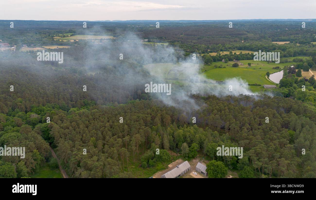 Aerial Image of forest fire in Tilford, Surrey, England Stock Photo - Alamy