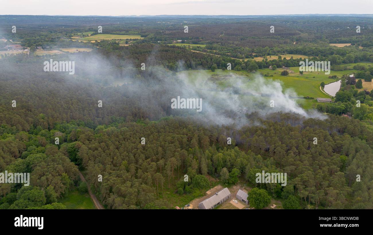 Aerial Image of forest fire in Tilford, Surrey, England Stock Photo - Alamy