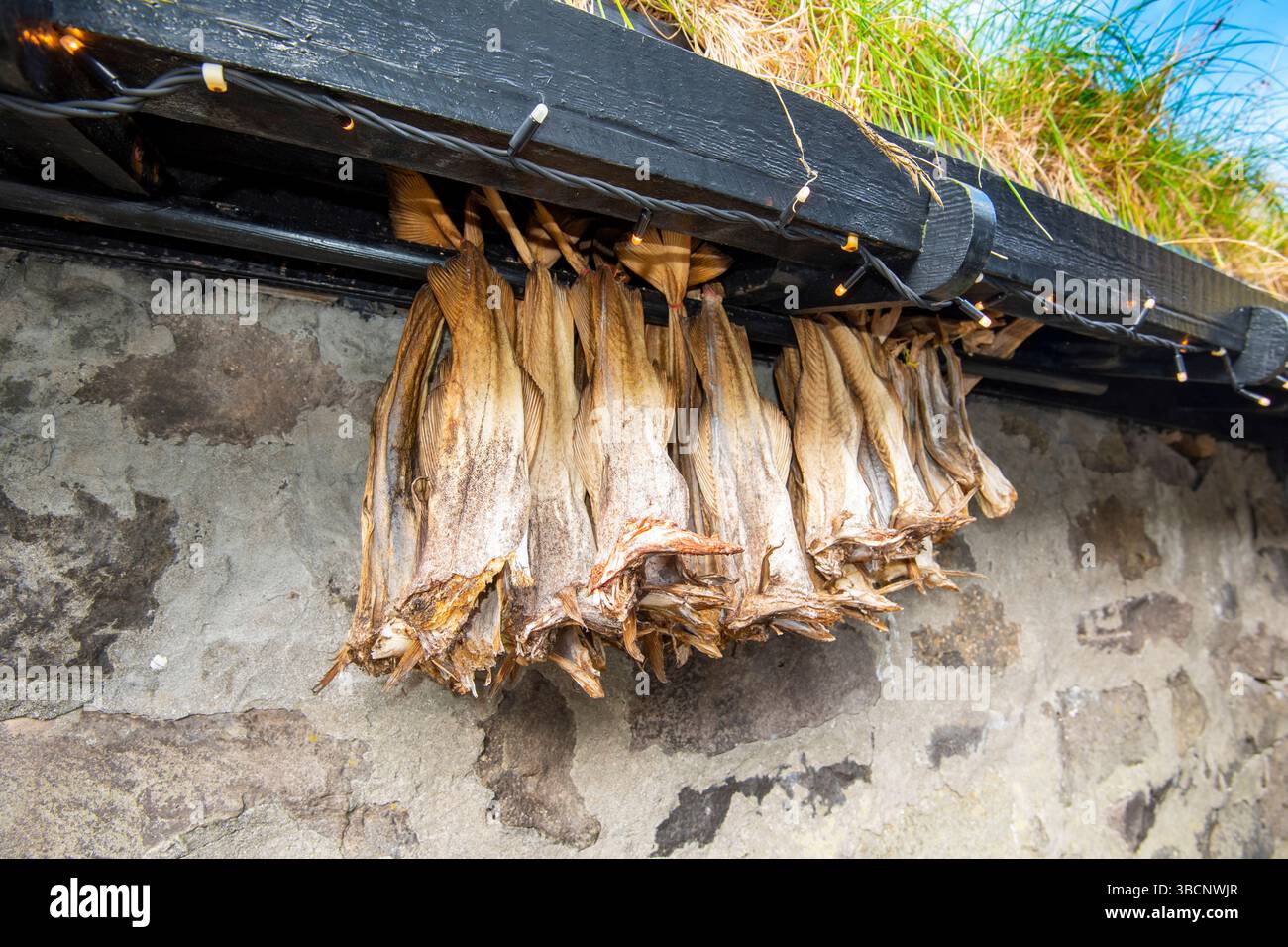 Air-Dried Fermented Fish - Faroe Islands Stock Photo - Alamy