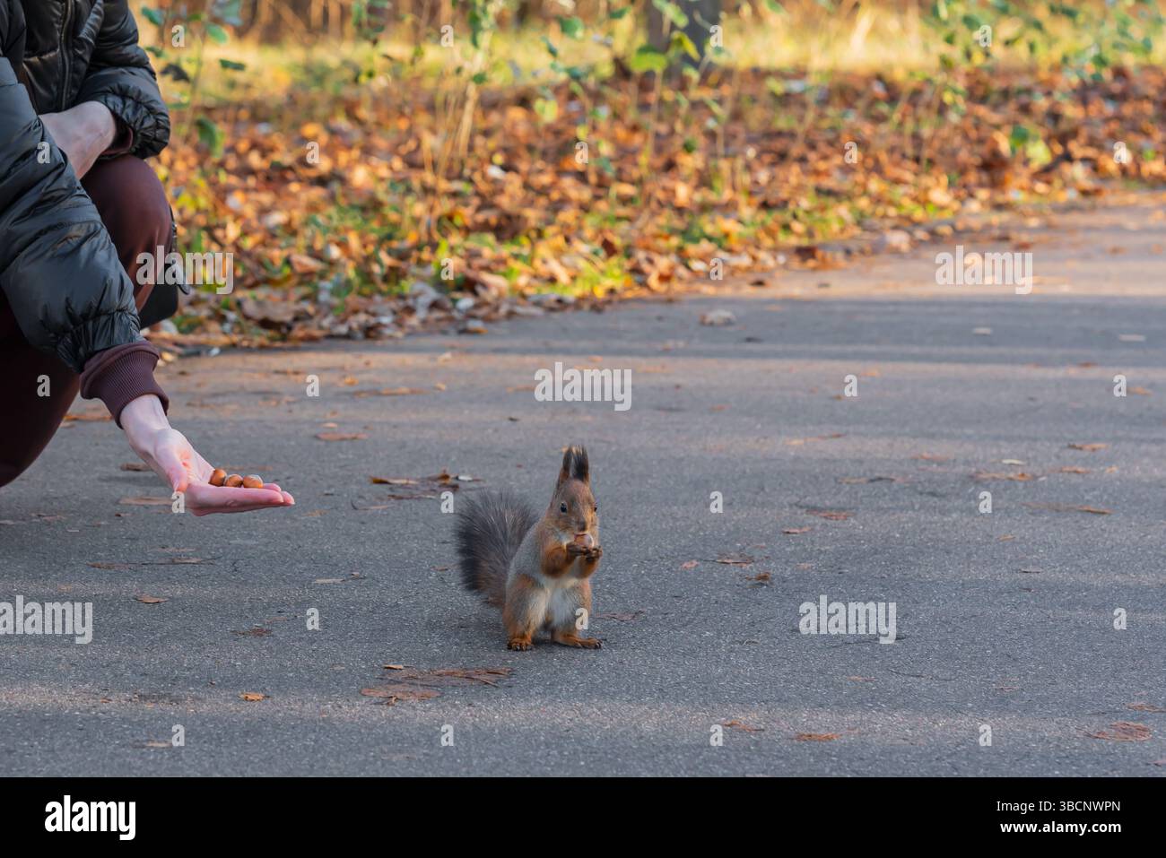 Woman eats nuts from hi-res stock photography and images - Alamy