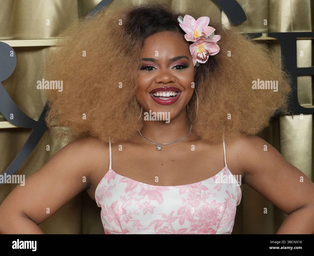 Dara renee hi-res stock photography and images - Alamy