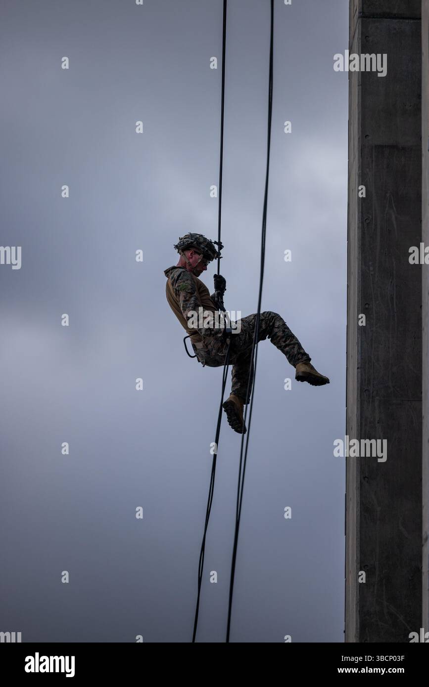 A U.S. Marine with 5th Air Naval Gunfire Liaison Company, III Marine ...