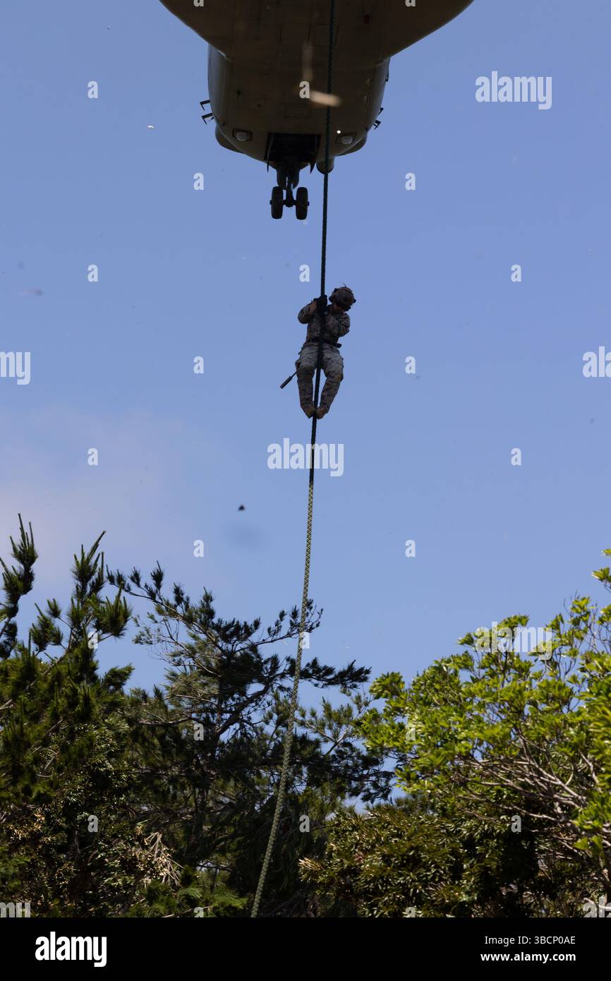 A U.S. Marine with Alpha Company, Battalion Landing Team, 1st Battalion ...