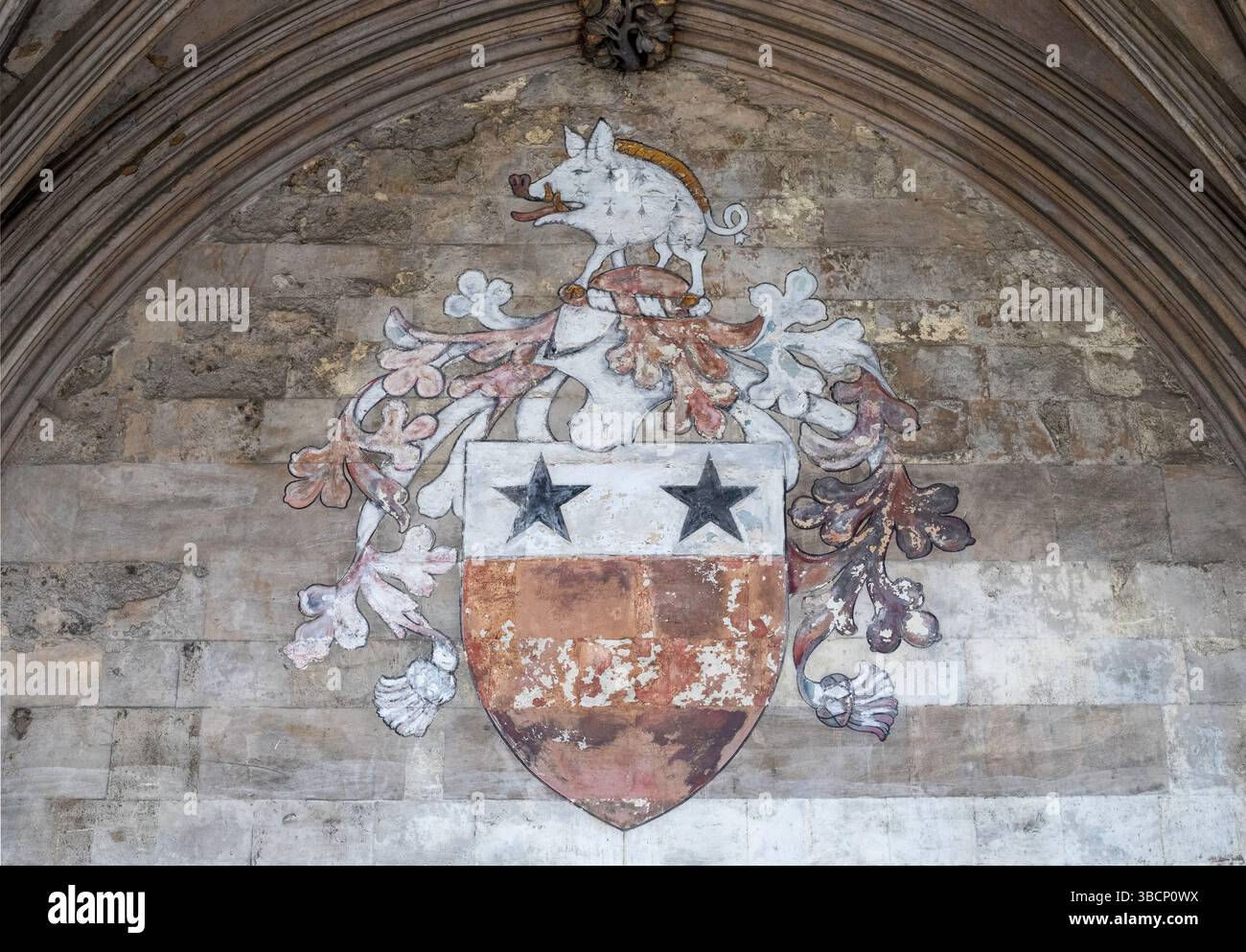 A coat of arms with a boar, shield, plumes, and stars Stock Photo - Alamy