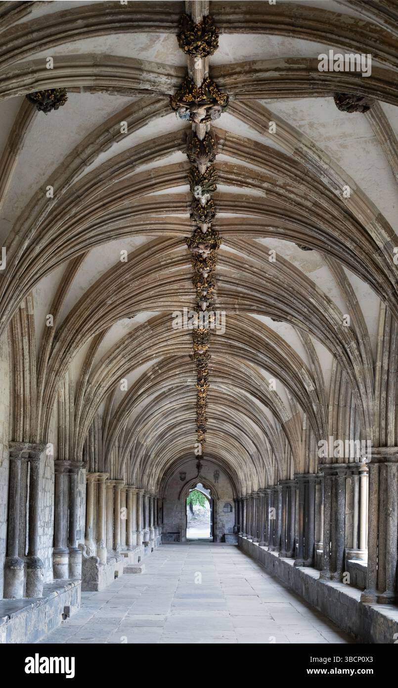 Vaulted ceiling cloister cathedral hi-res stock photography and images ...