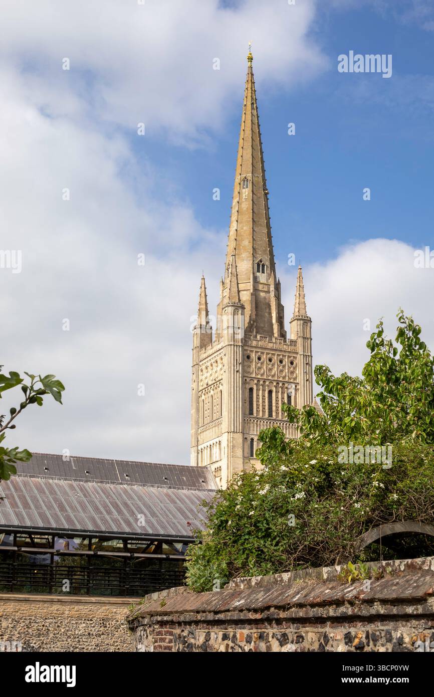 Looking across roofs and flint walls to the spire of Norwich Cathedral ...