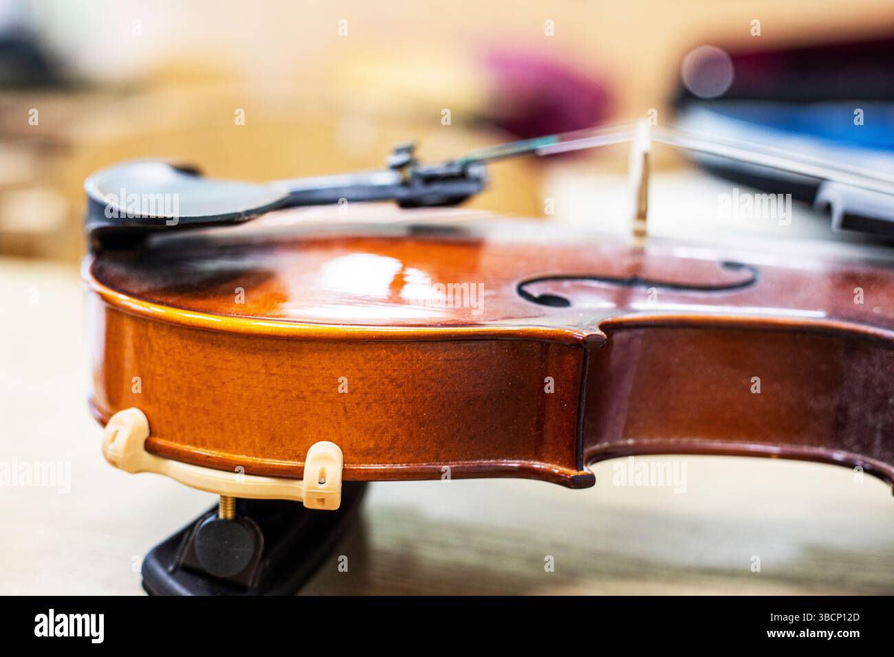 Master violin bridge close hi-res stock photography and images - Alamy