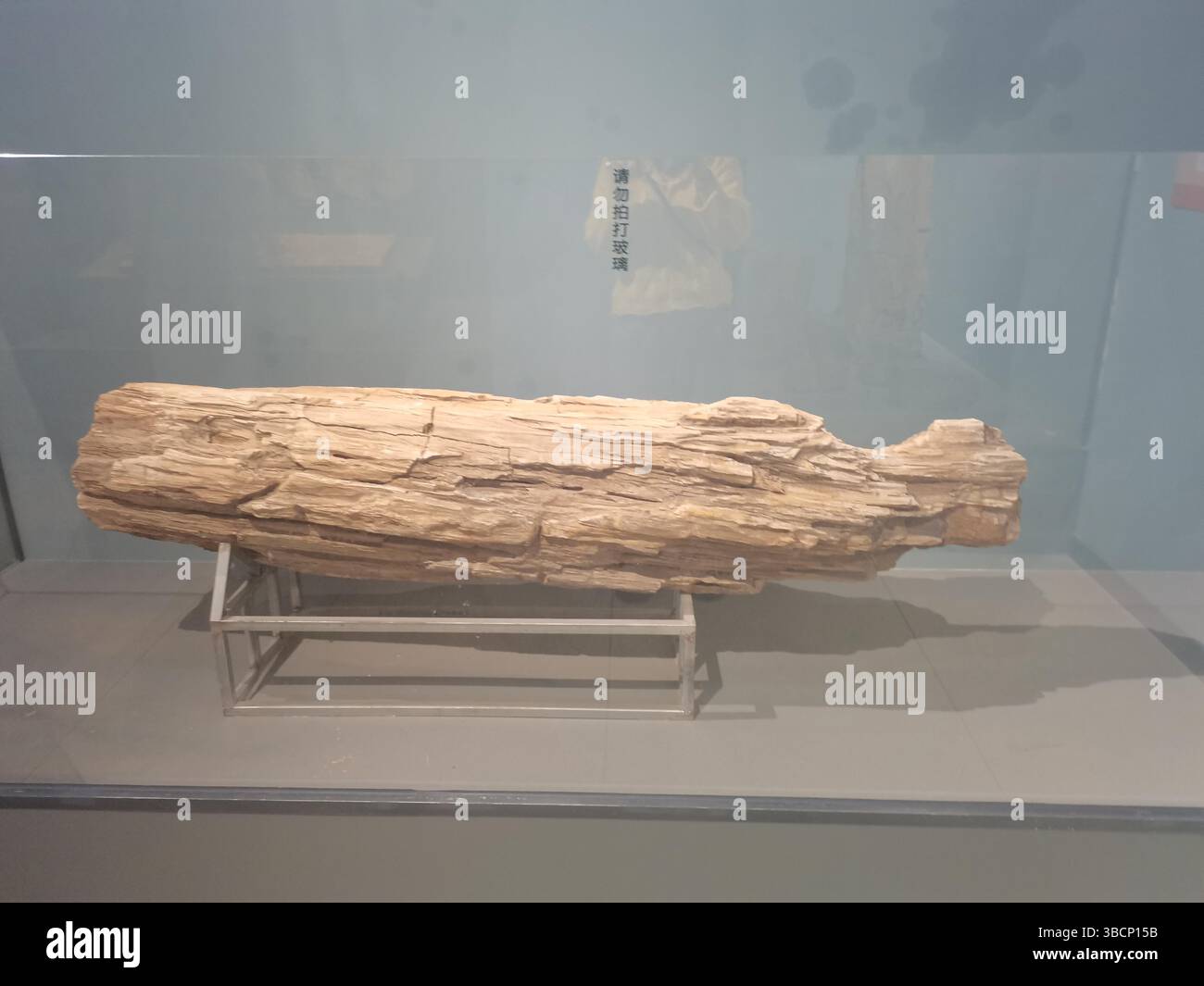 A glimpse of Dalian Natural History Museum in Dalian City, northeast ...