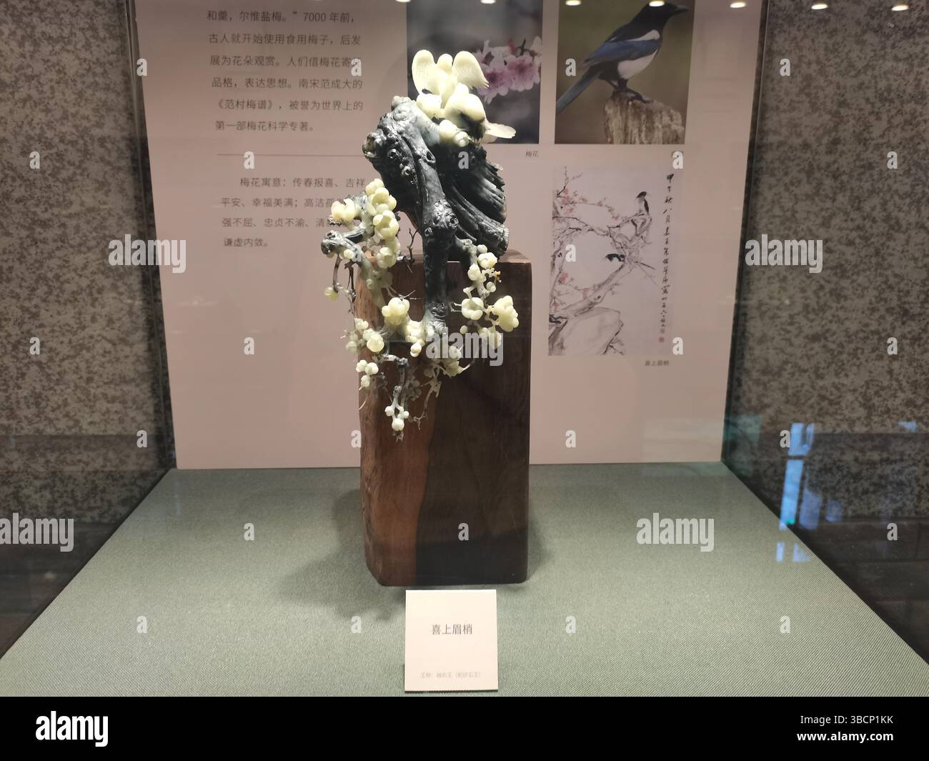 A glimpse of Dalian Natural History Museum in Dalian City, northeast ...