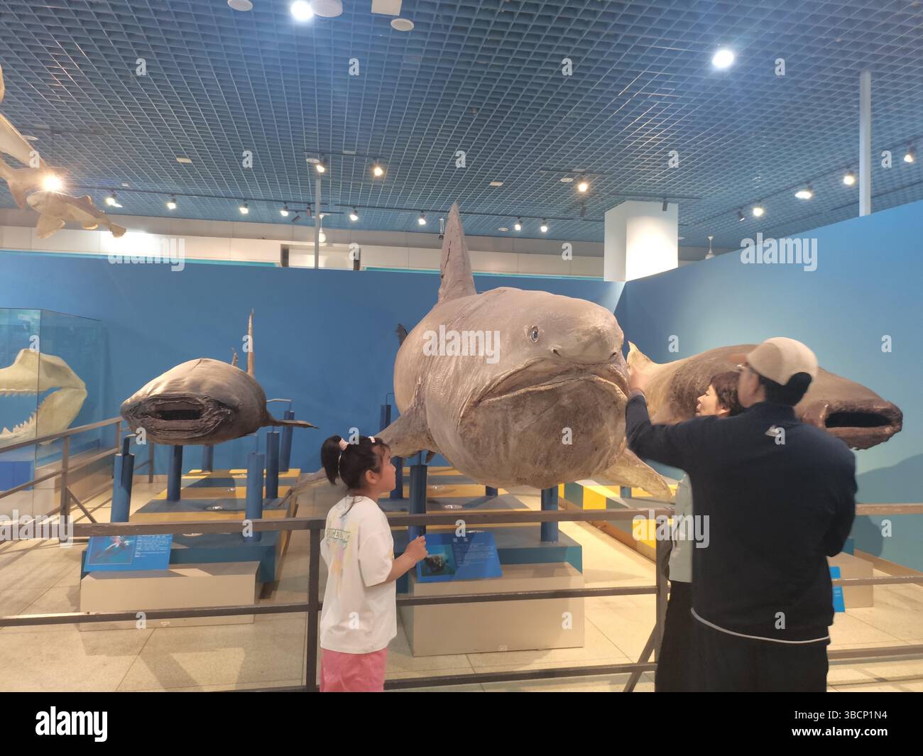 A glimpse of Dalian Natural History Museum in Dalian City, northeast ...