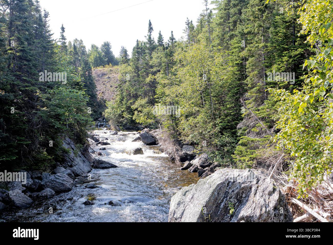 Corner Brook, Newfoundland Stock Photo - Alamy