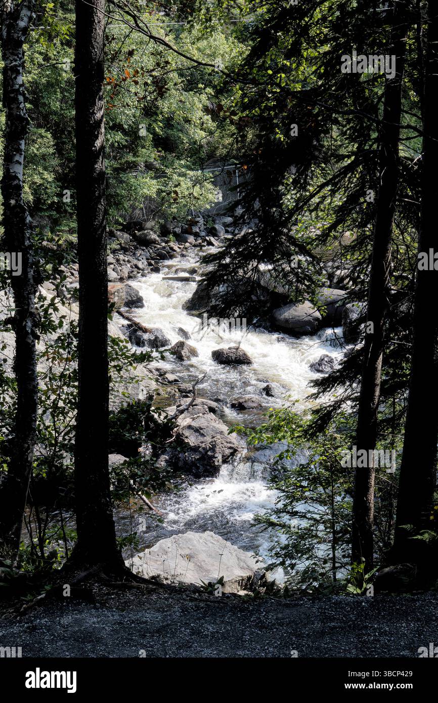 Corner Brook, Newfoundland Stock Photo - Alamy