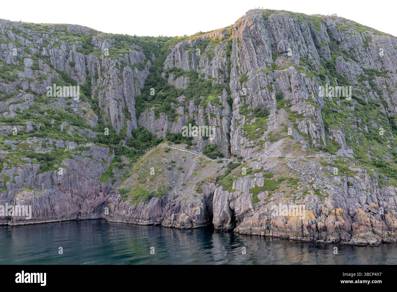 St. John's, Newfoundland and Labrador Stock Photo - Alamy