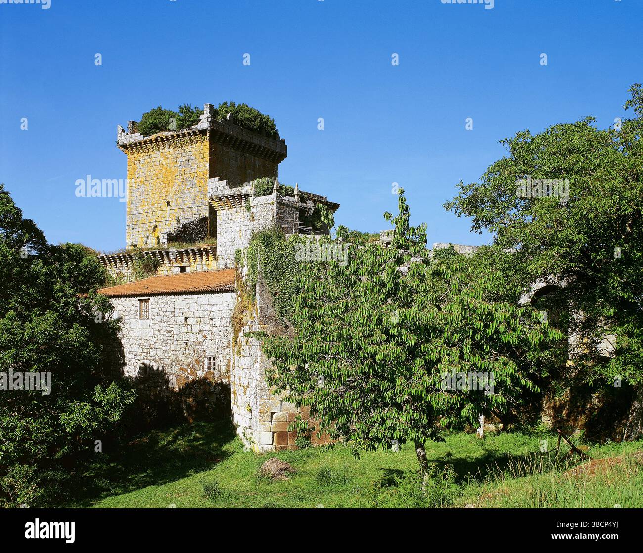 Irmandino wars hi-res stock photography and images - Alamy