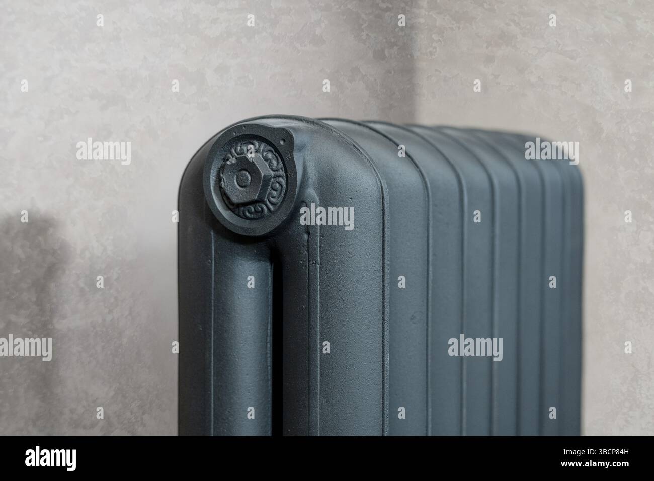 Princess radiator top view Stock Photo - Alamy