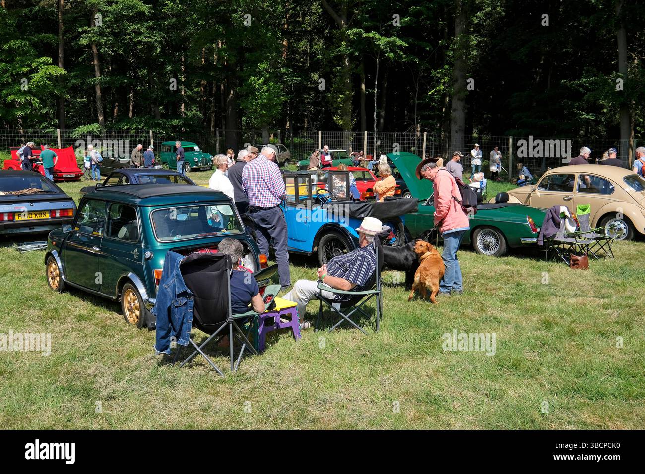 classic car show, stody lodge, north norfolk, england Stock Photo - Alamy