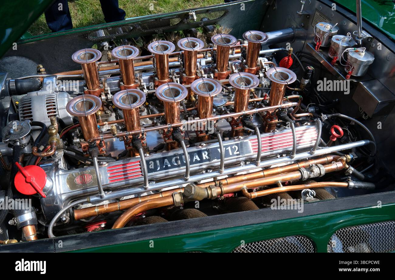 jaguar V12 motor vehicle engine Stock Photo - Alamy
