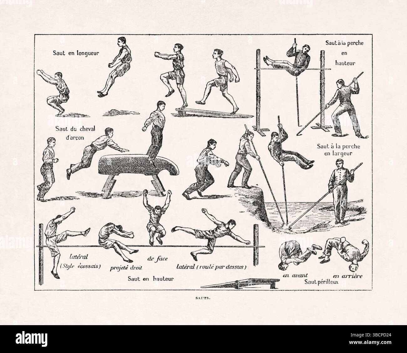 Illustration printed in a late 19th-century French dictionary depicting ...