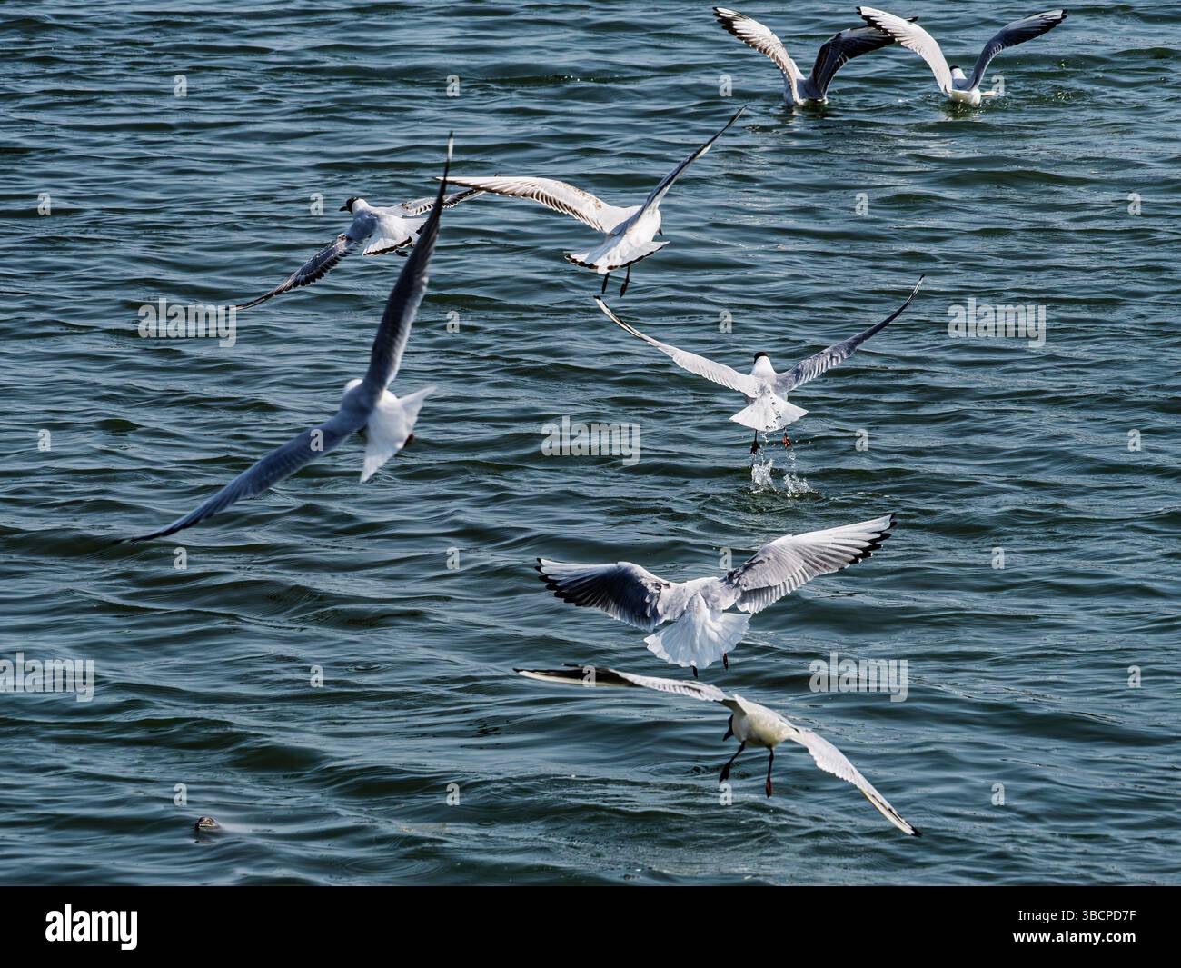 World natgeoyourshot hi-res stock photography and images - Alamy