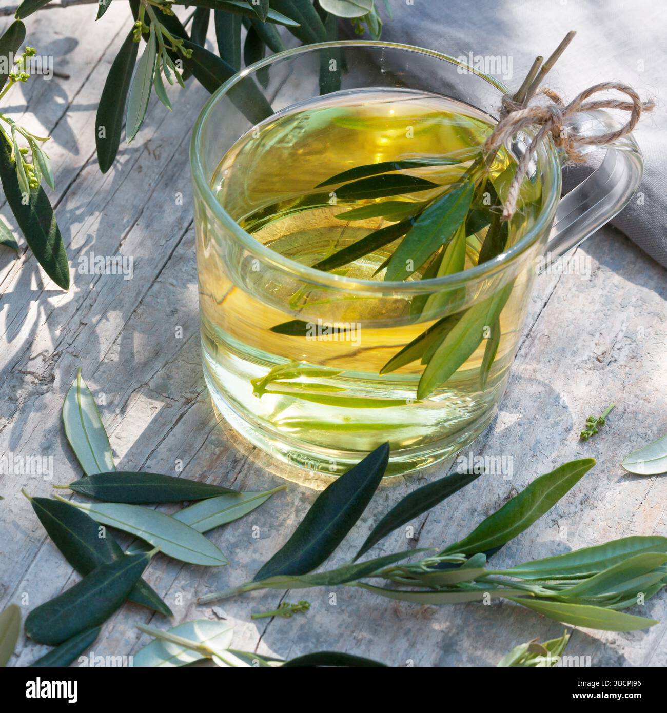 olive tree (Olea europaea ssp. sativa), Homemade tea from olive leaves ...