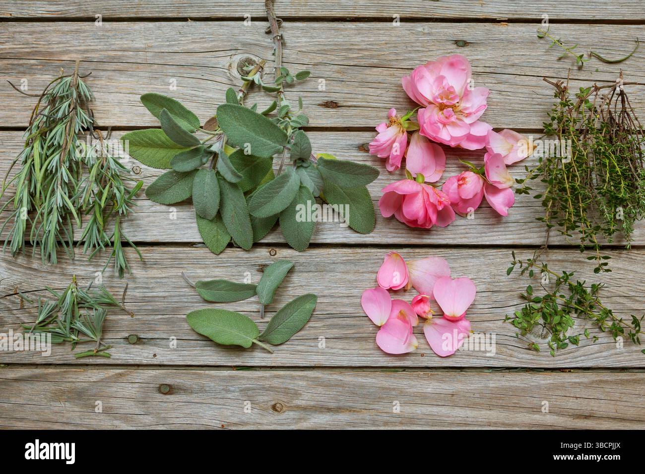 Aromatic materials hi-res stock photography and images - Alamy