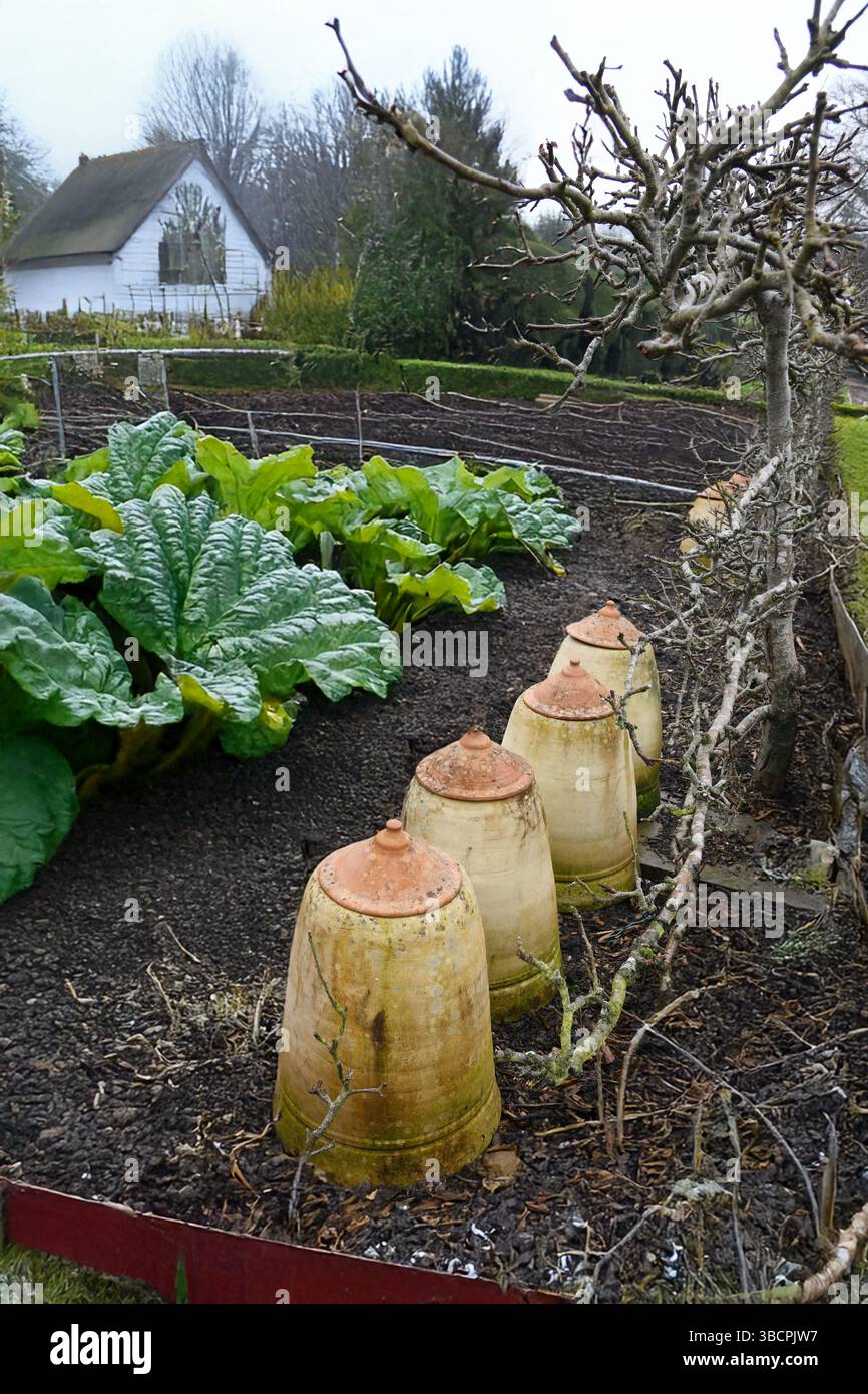 Forcers hi-res stock photography and images - Alamy