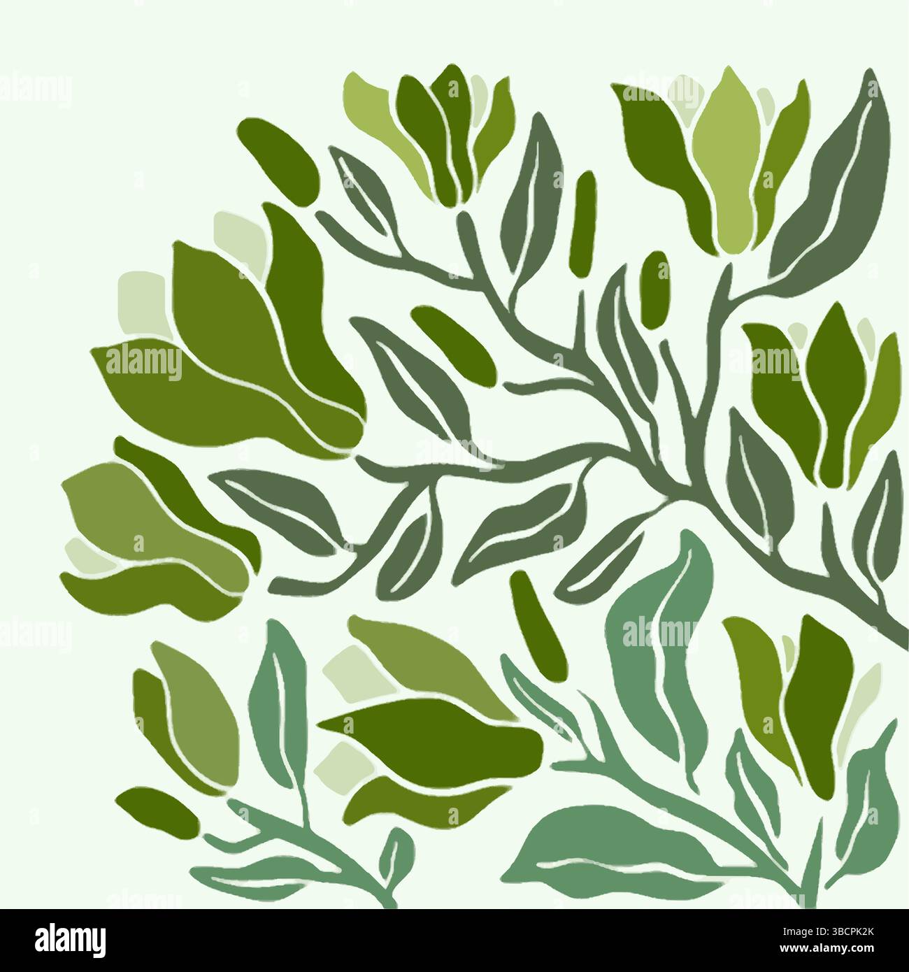 Delicate illustration of lush green plant Stock Vector Images - Alamy
