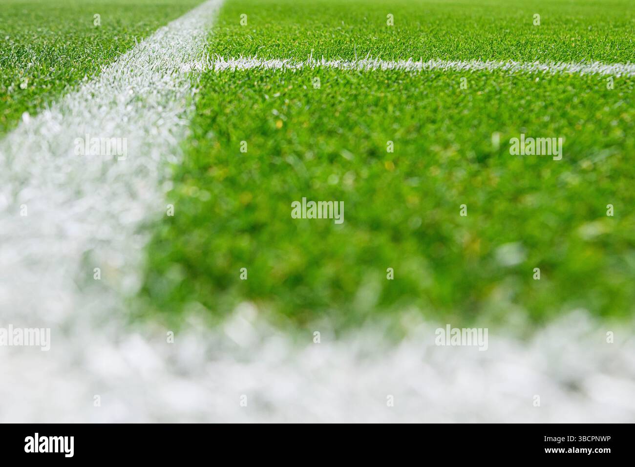 Close-up view of corner line, football, soccer field, with sharp white ...