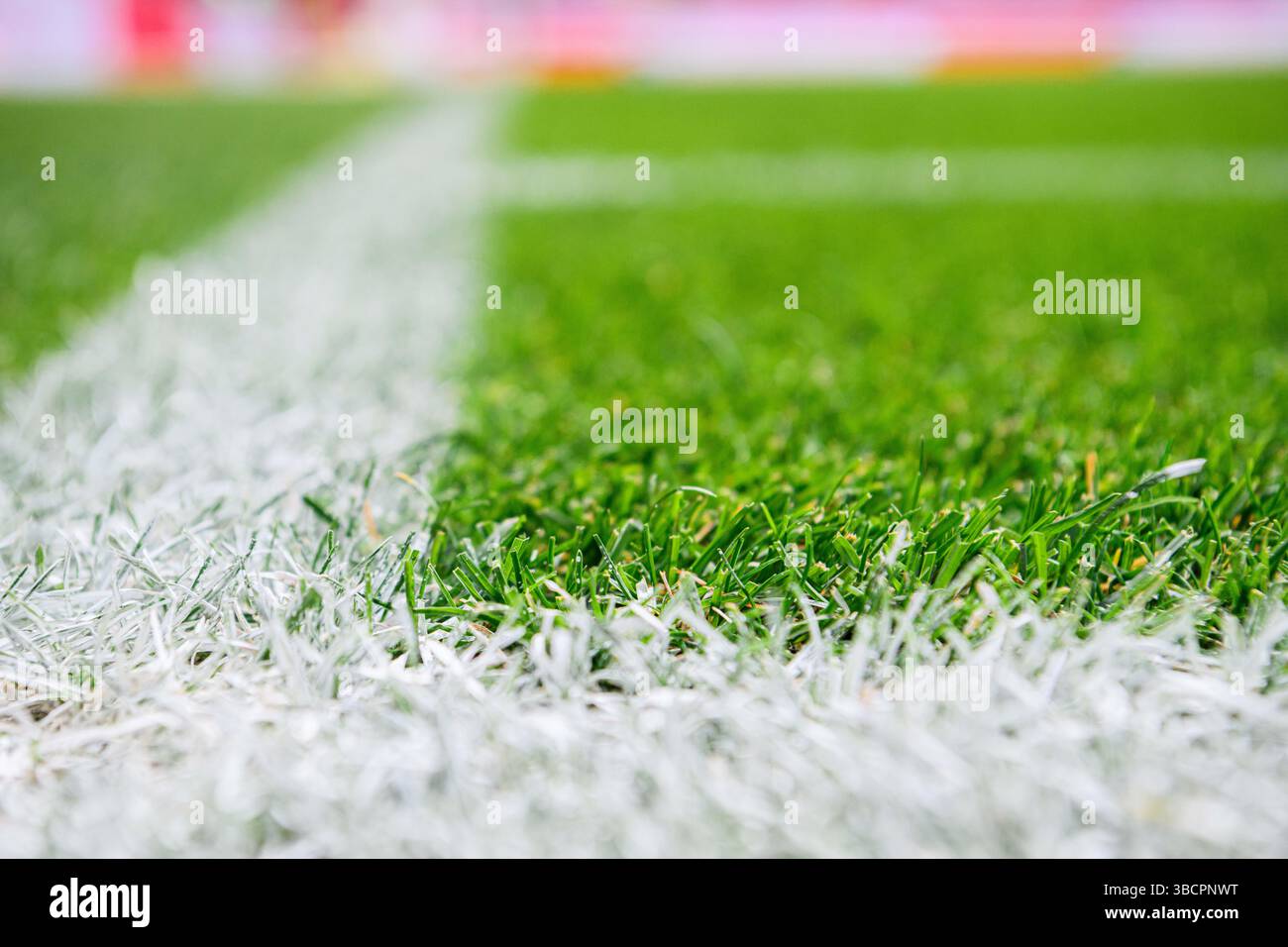 Close-up view of corner line, football, soccer field, with sharp white ...