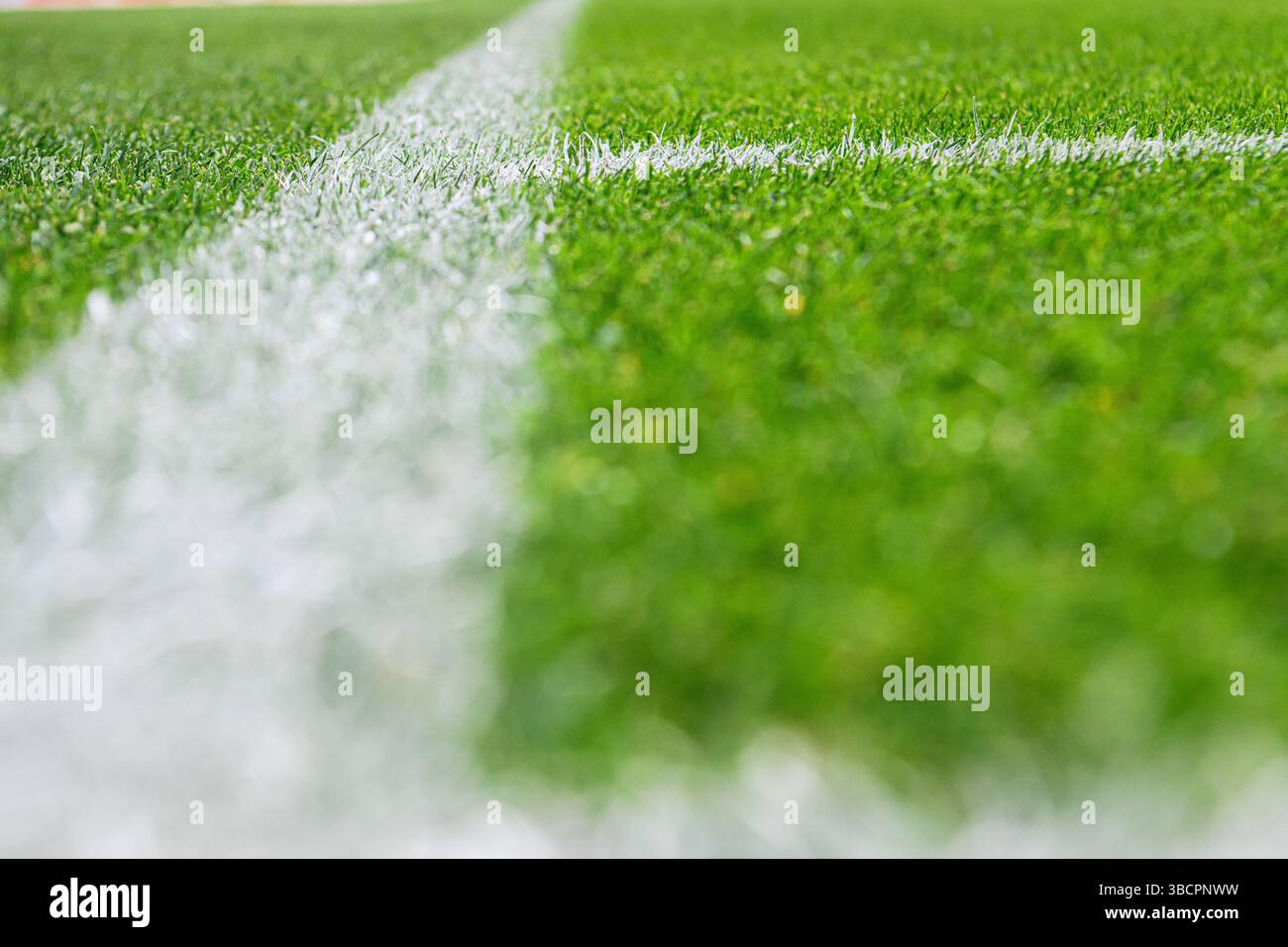 Close-up view of corner line, football, soccer field, with sharp white ...