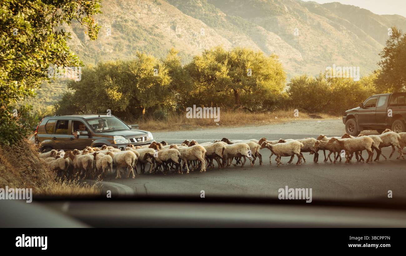 "Traffic jam" on mountain pass in Crete mountains. Crete mountain road ...