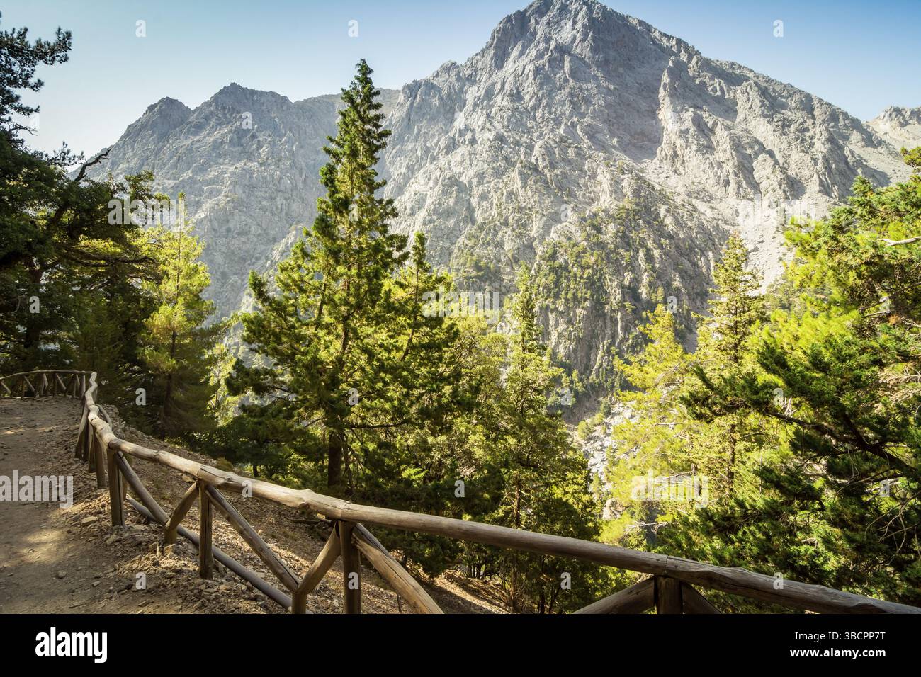 Green valley in national park on a sunny morning. Trekking path in ...