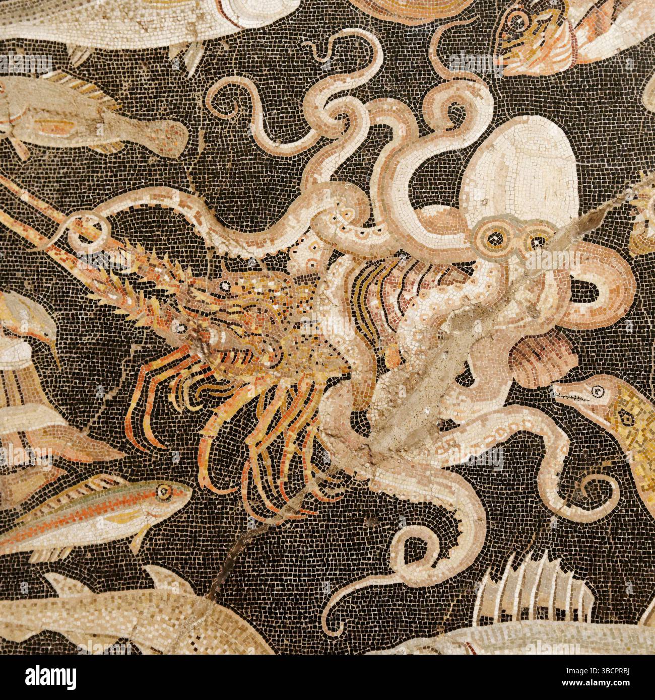 Mosaic emblema in opus vermiculatum made from polychrome tesserae. On a ...