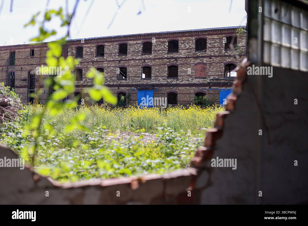 Nhv symbol hi-res stock photography and images - Alamy