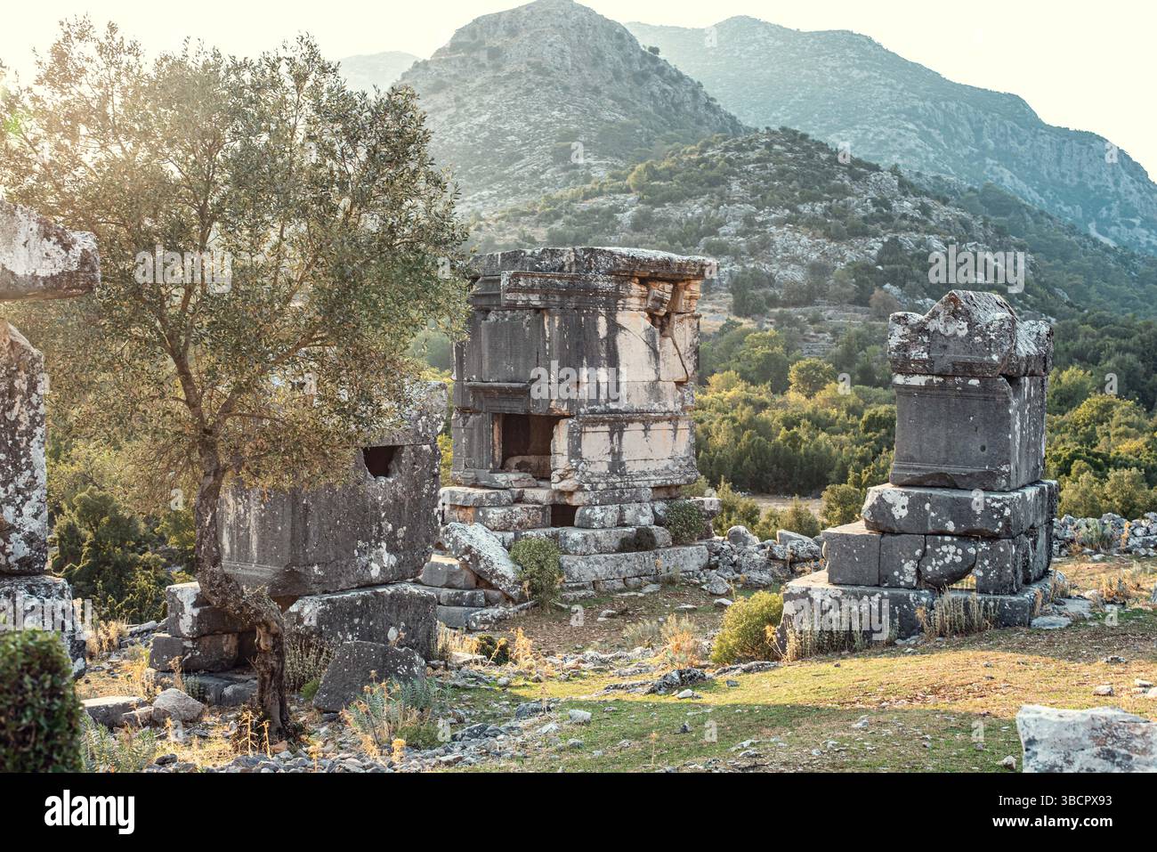 Ancient Lycian sarcophagi along the Western Lycian Way, Turkey Stock ...