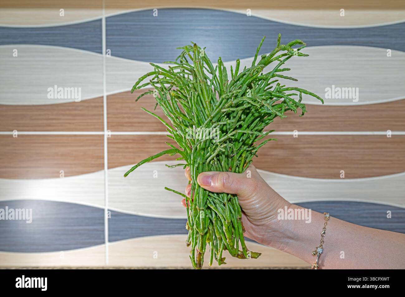 Woman holding a bunch of salty green salicornia europaea plants for ...