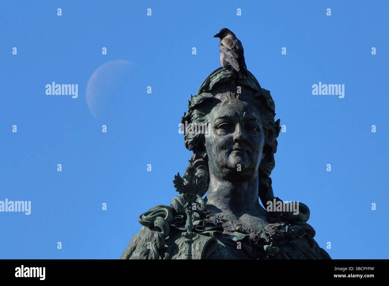 A crow sits on the statue of Russian Tsarina Catherine the Great in St ...