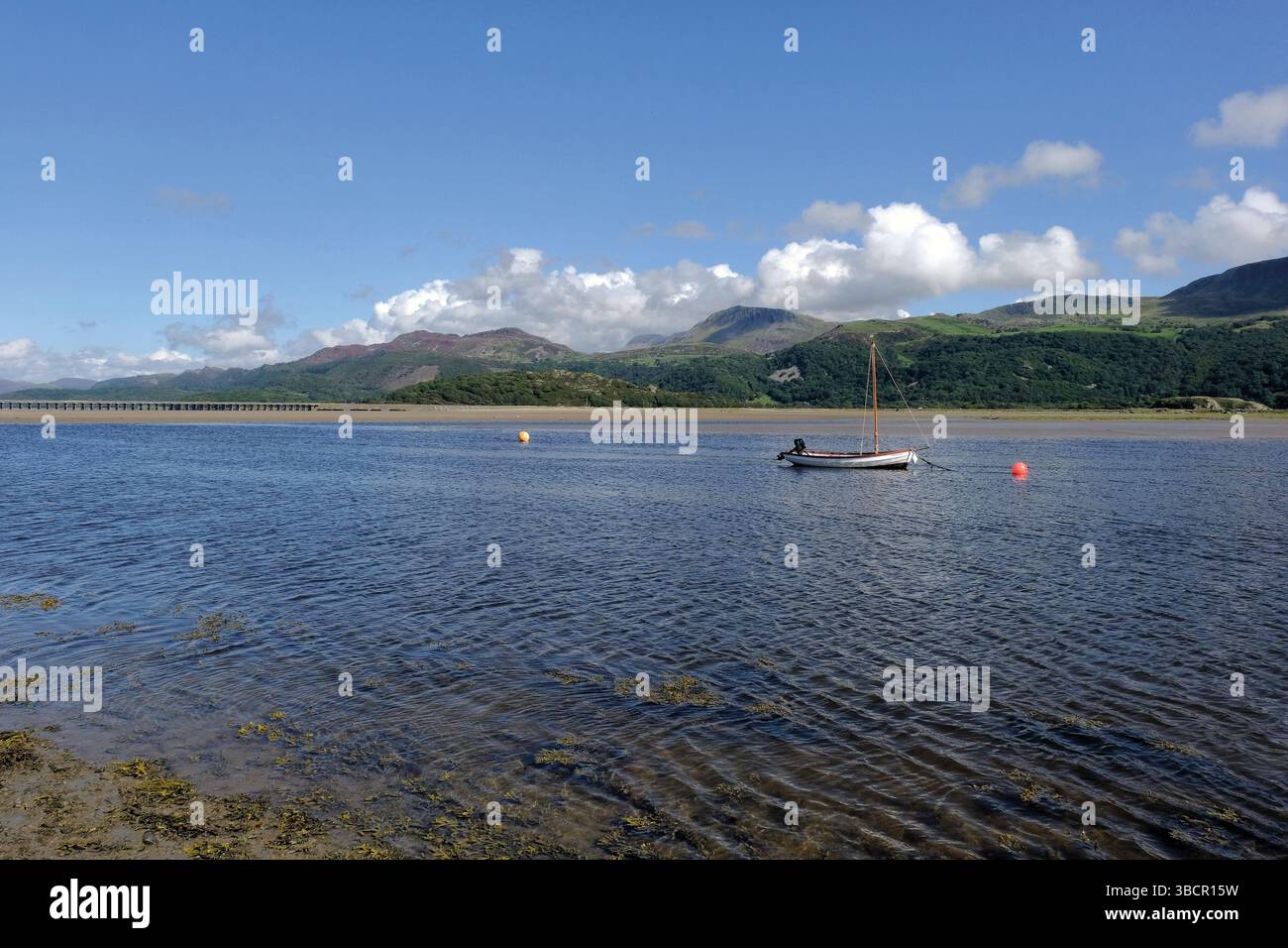 A Summers Day out and about with camera, roadside shot of the Mawddach ...
