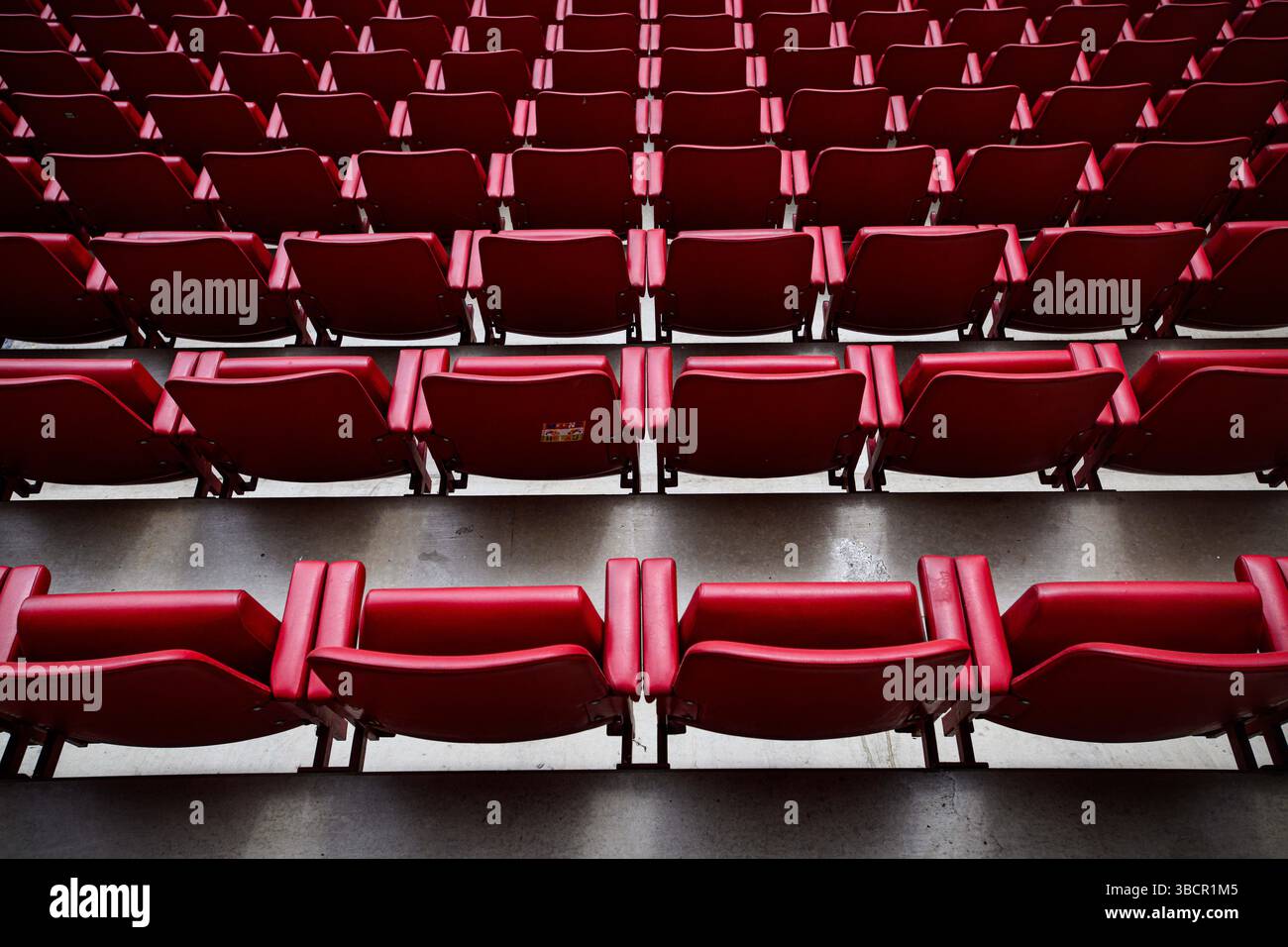 Mewa seating hi-res stock photography and images - Alamy