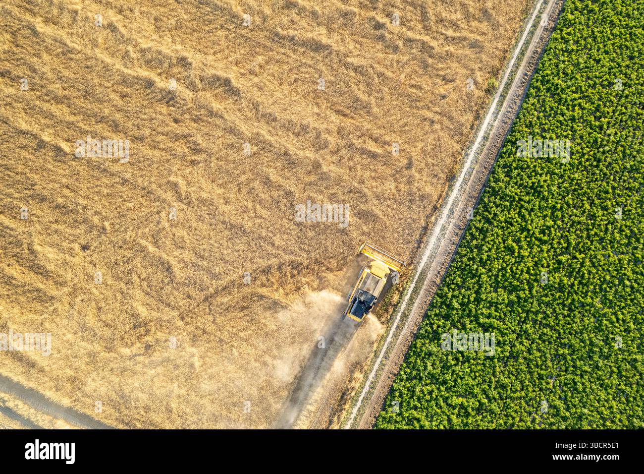 agriculture and farming top down of field divisions. agricultural ...